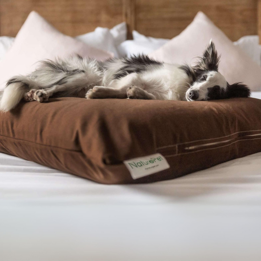 NaturoPet | Natural Pet Products & Organic Cotton Dog Beds